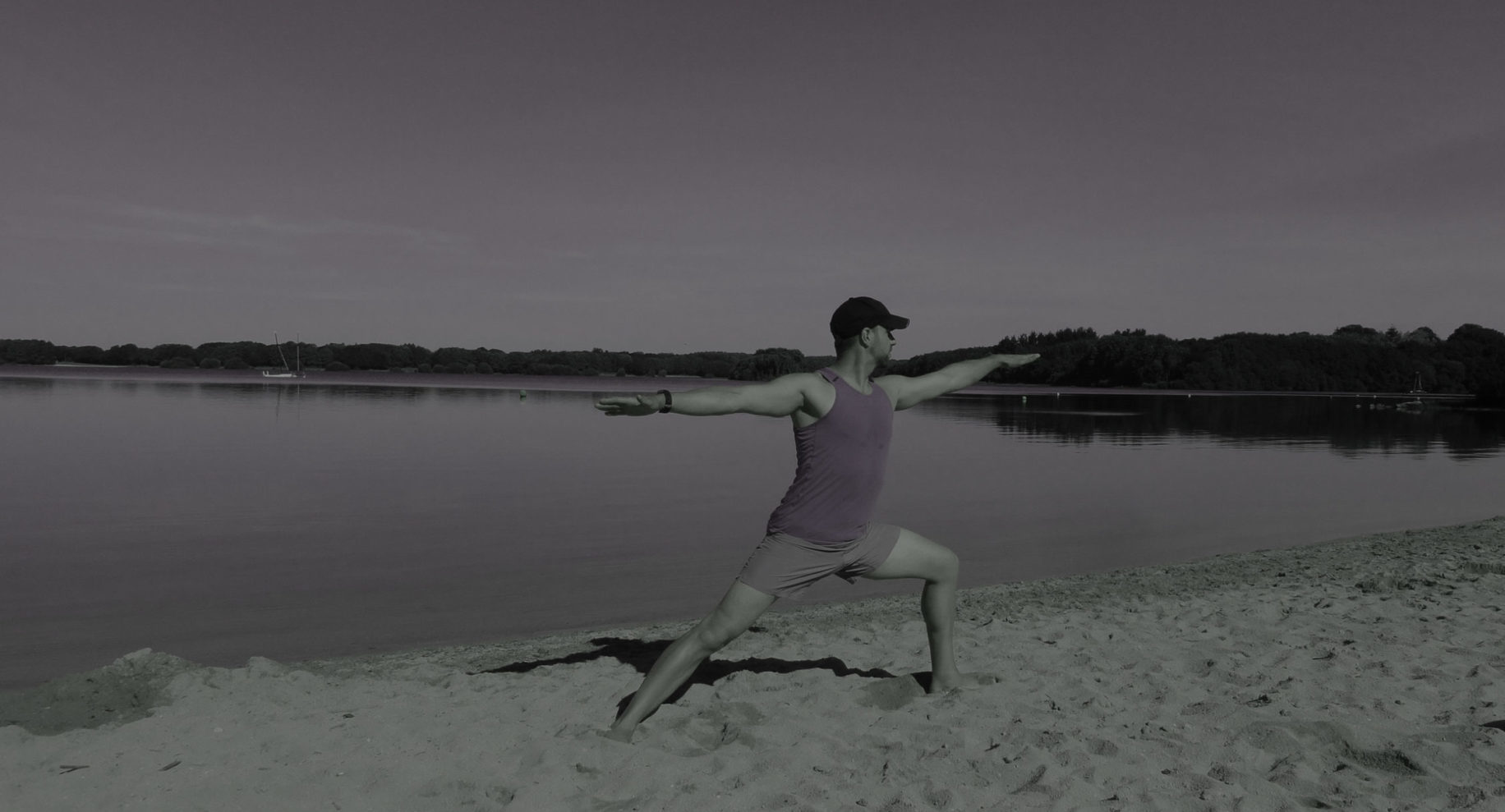 DAVID TODD FITNESS | Online Personal Training & Fitness Coaching